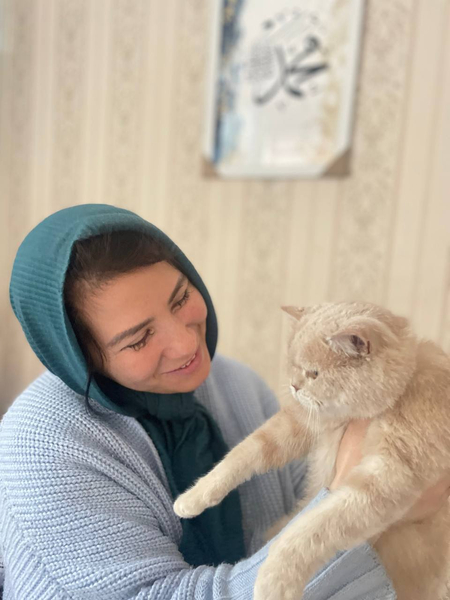 Скотиш страйд  породистый