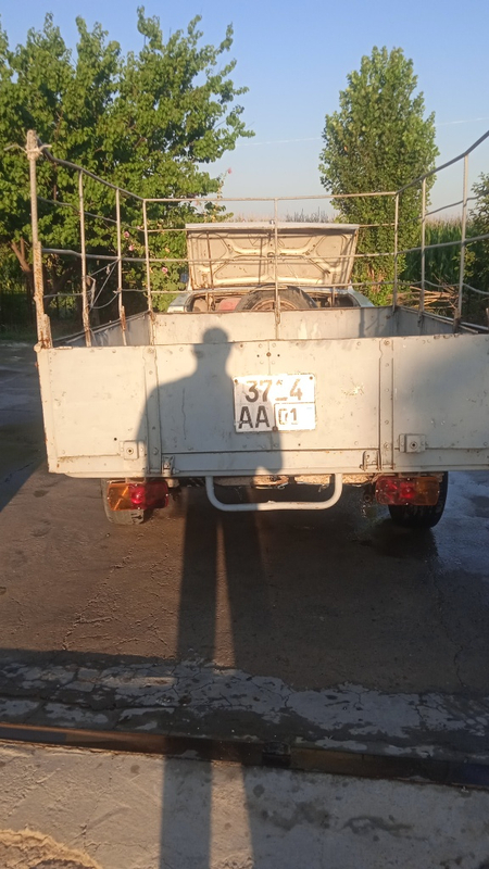 Volga prsep bilan