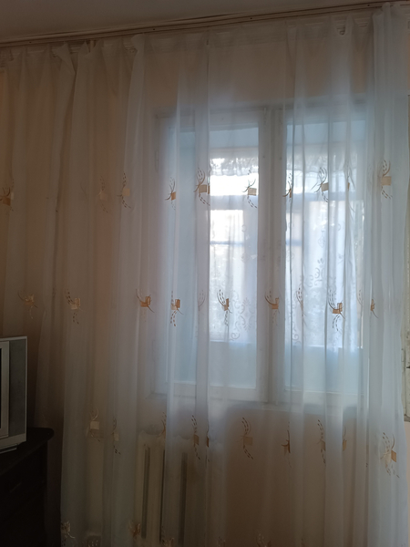 Ijaraga sheriklikka qizlar kerak