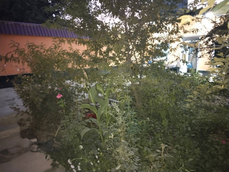 Zalinida srochna 3 xonali uy ijaraga beriladi narxi 250 y.e