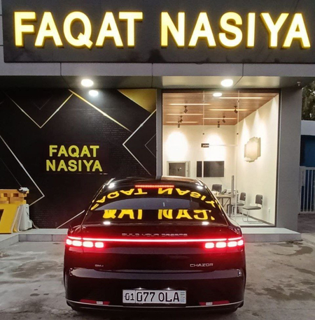 Chazor gibrid Faqat nasiya