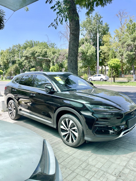 Byd song champion 605 full
