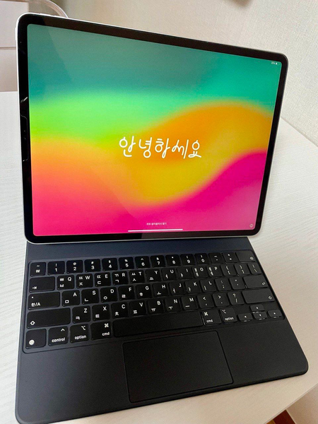 iPad Pro 12.9-inch (4th Generation) Wi-Fi  128GB + iPad Magic Keyboard