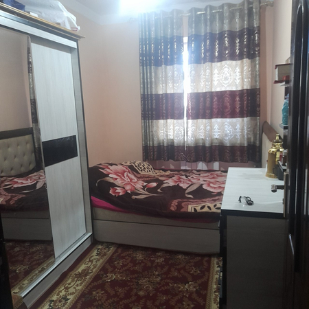 Sergili, Yangi xayot 5a