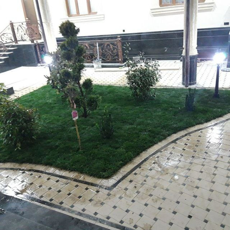 Gazon ekish Gul ekish