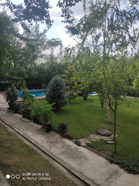дача аренда посуточно ташкент dacha Toshkent