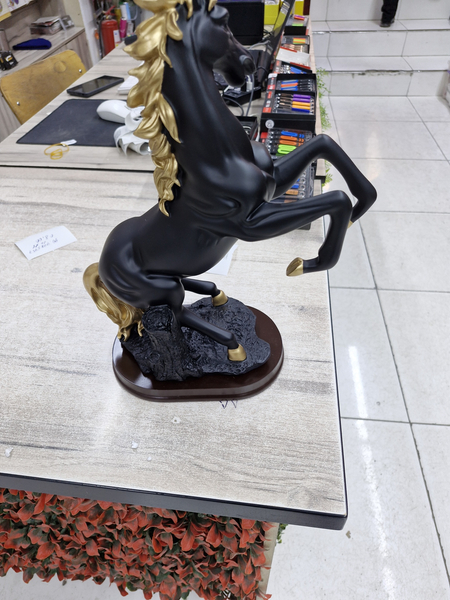 Лапка 25ооо кичкинаси катаси 45000
