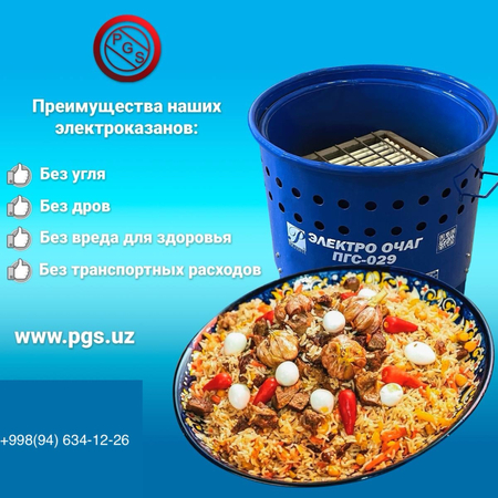 Электро очаг ПГС-029С