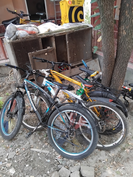 Velosiped ijarasi