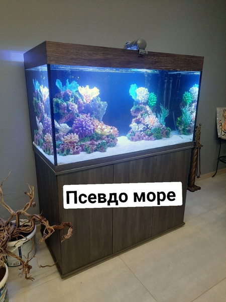 Уход за аквариумами