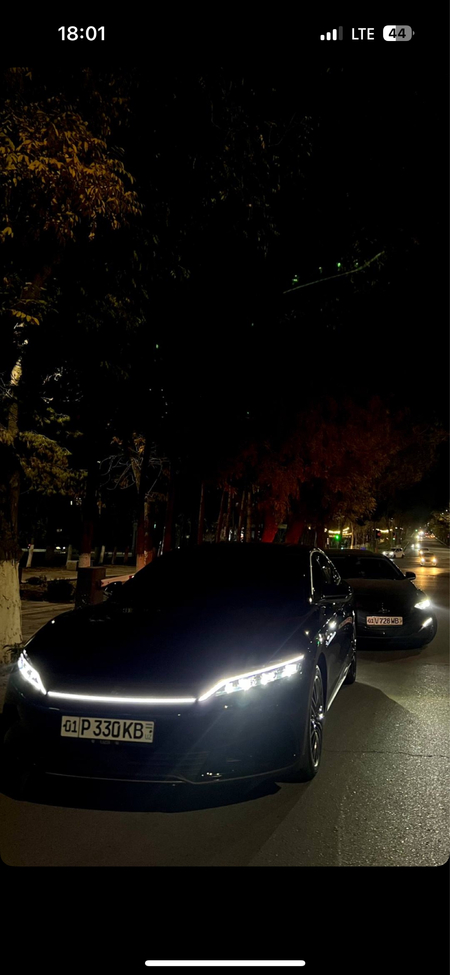 Rent car / avtoprokat