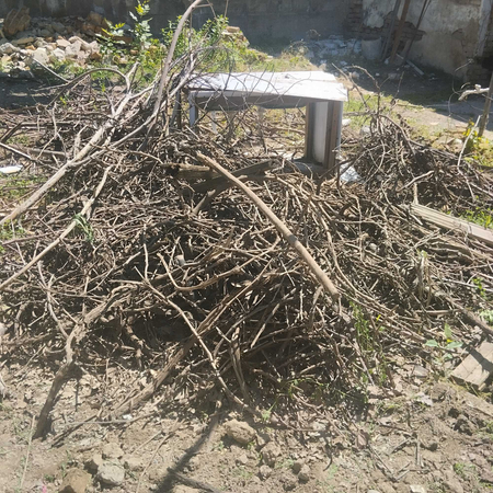 Продам ветки деревьев на дрова