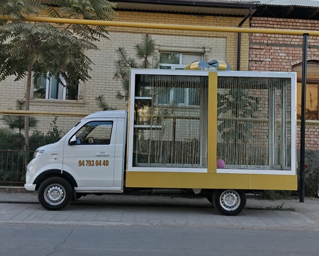 Sarpo moshina hizmati