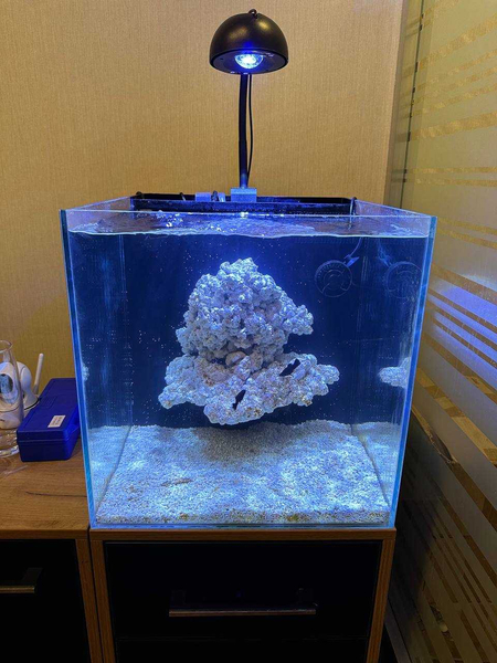 Морской аквариум | Morskoy akvarium | Dengiz akvariumi | Корал