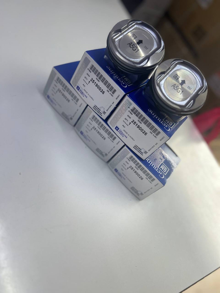 Поршн кольца GM  Cobalt, Jentra, Nexia-3