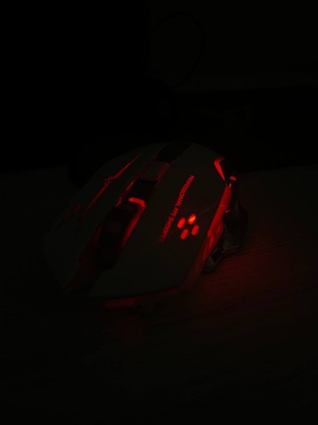 Mouse gamig, мышка ддя кам
