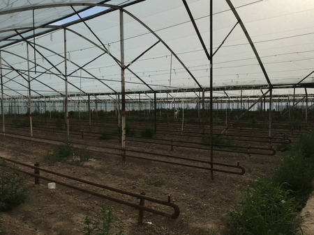 Продается 1 гектар в Назарбеке с документами под строительство