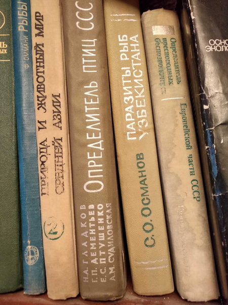 Книги, справочники