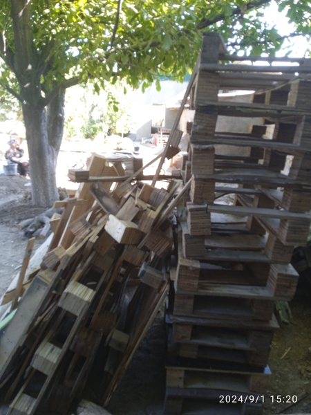 Reka va paddonlar