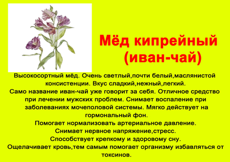 Asaldori Башкирский мёд