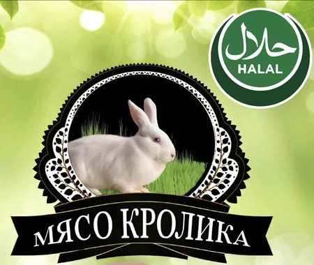 Ҳалол қуён гўшти