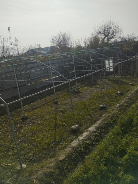 Yozgi tiplitsa 1 soʻtigʻ