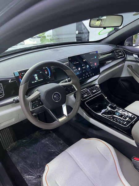 Byd qin plus DM-i