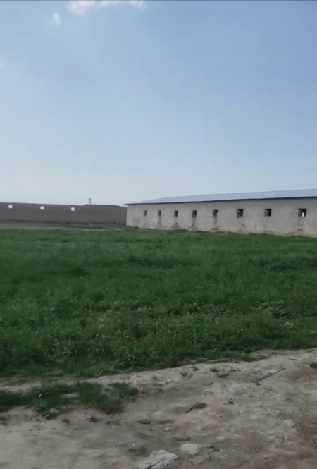 Продаётся ферма молхона  2 гектар