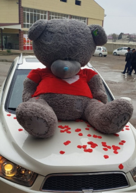 TEDDI Optom Teddy  1+1 Aksiya