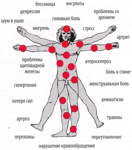 Victiroia Bells браслет