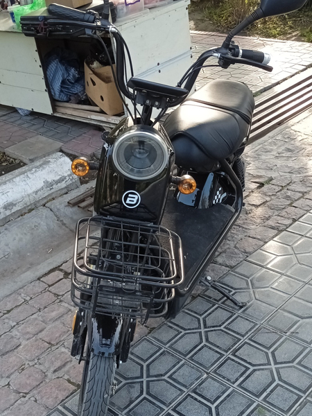 sukutr sotiladi pul zarl