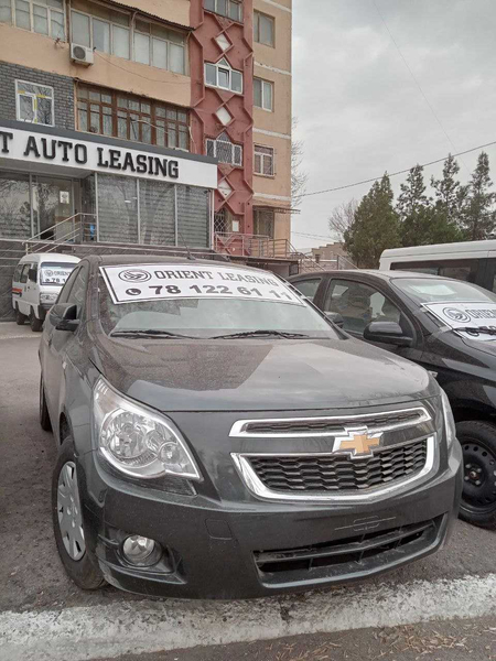 cobalt ribosiz nasiya
