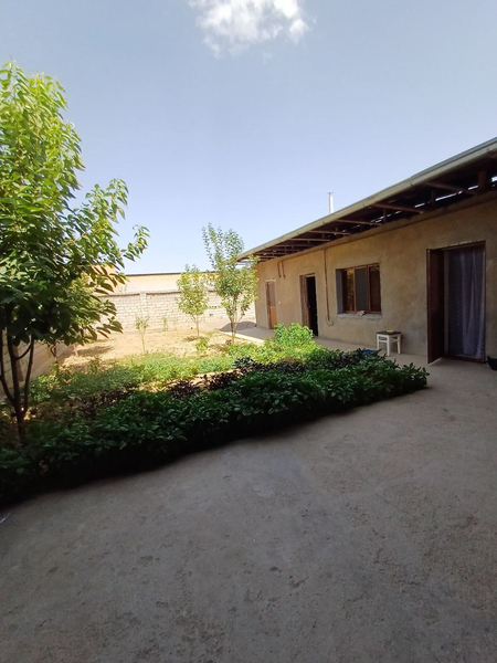 Yangi toshmi 3.8sotix