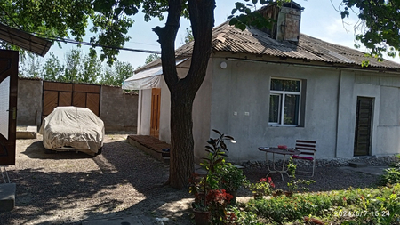 3та катта дарахт сотилади