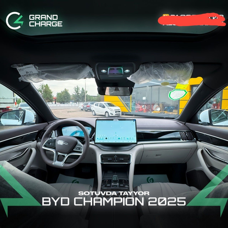 Byd champion 2025