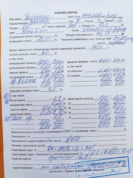 Пшеница, Лён, Кукуруза (урожай Казахстана) оптом продаётся