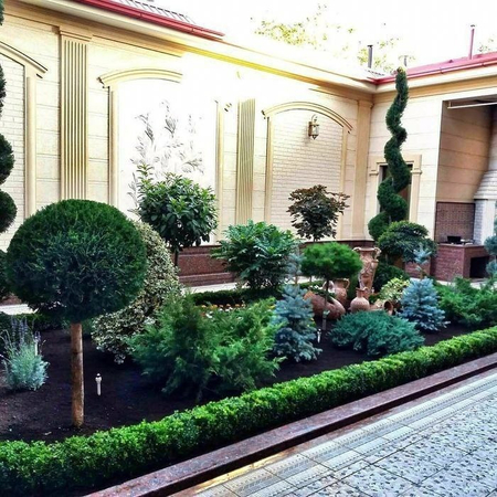 Садовник каму нужуна