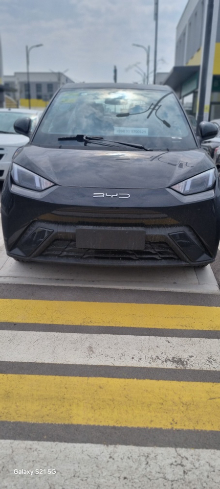 Byd seagull 405km full