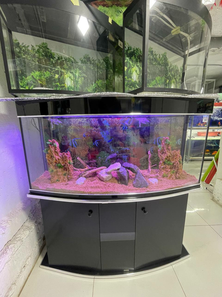 Akvarium 200litrli.