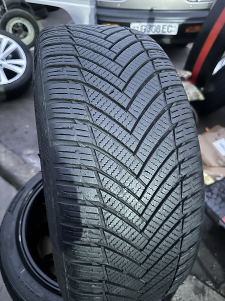 Jentra Lasettiga 17 Vossen