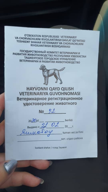 Продам собаку  пароды Стаф красноносик
