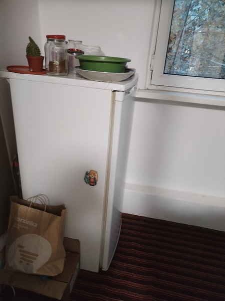 Bollarga ijaraga beriladi Ttz yalongoch massiv 1²qiligan