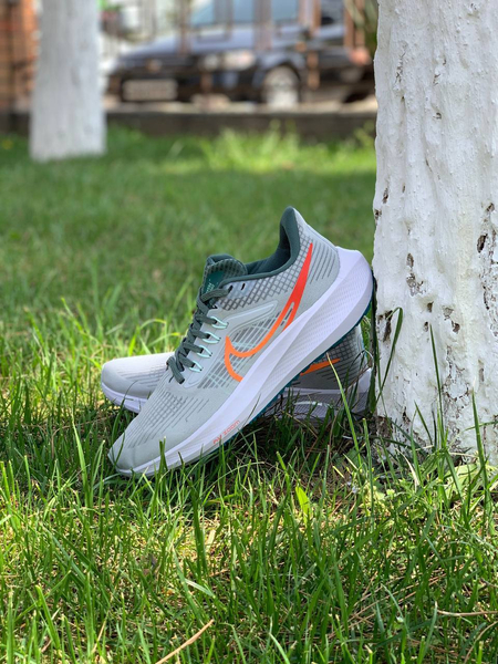 Nike Zoom pegasus 39