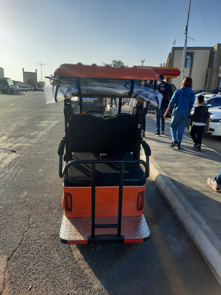 Electro car golf