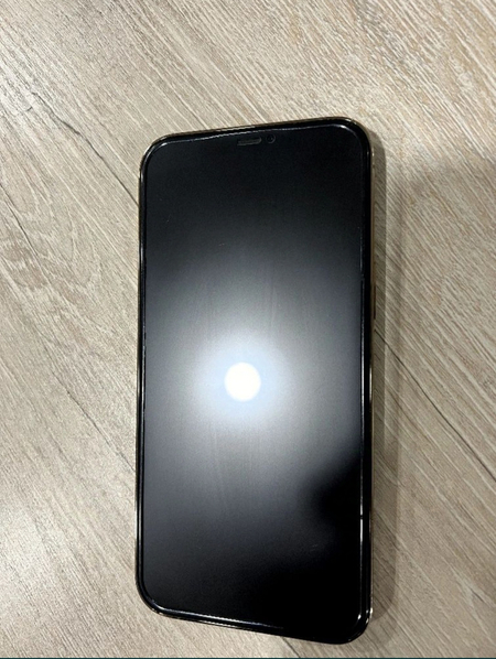 iPhone 12 pro max