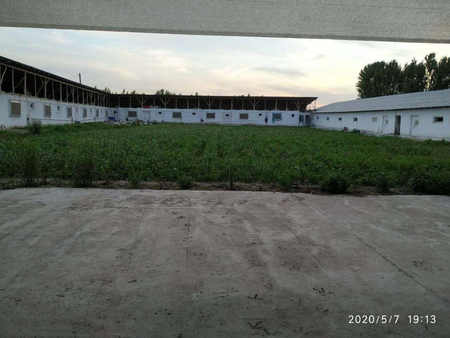 Срочно 40 сотихли Товуқ ферма сотилади Тошкент вилояти Ўртачирчиқ