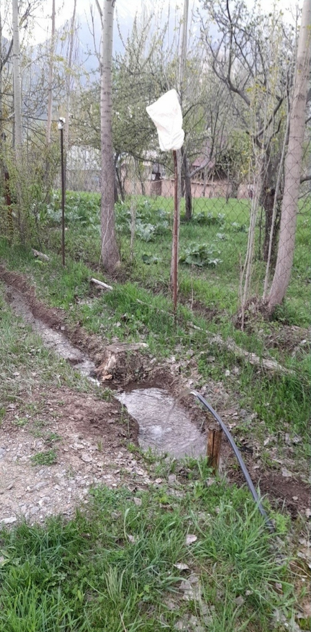 Bo'stonliq tumani Tepar qishlog'ida 15 sotix yer sotiladi Nefret yoli
