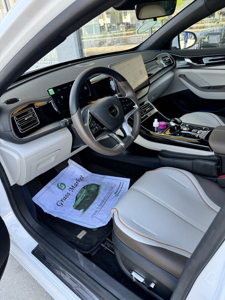 BYD Qin plus honor ev