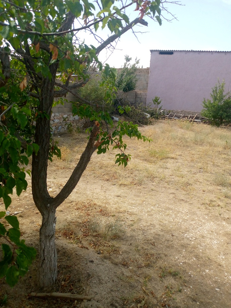 Kafolat beraman.