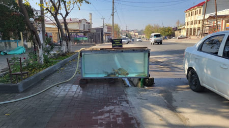 Аквариум сотилади